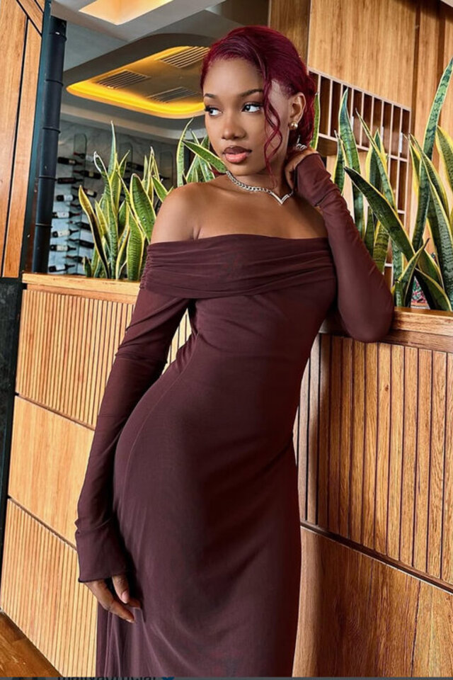 Online dating and communication platform allowing members to exchange ...